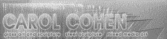 Welcome to Carol Cohen Glass